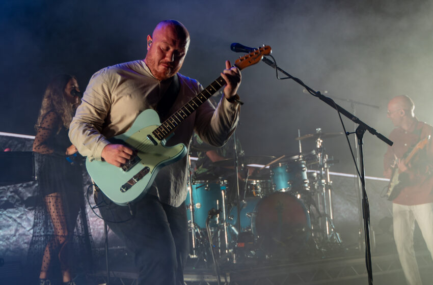 From Nothing to a Little Bit More: The Successful Evolution of The ...