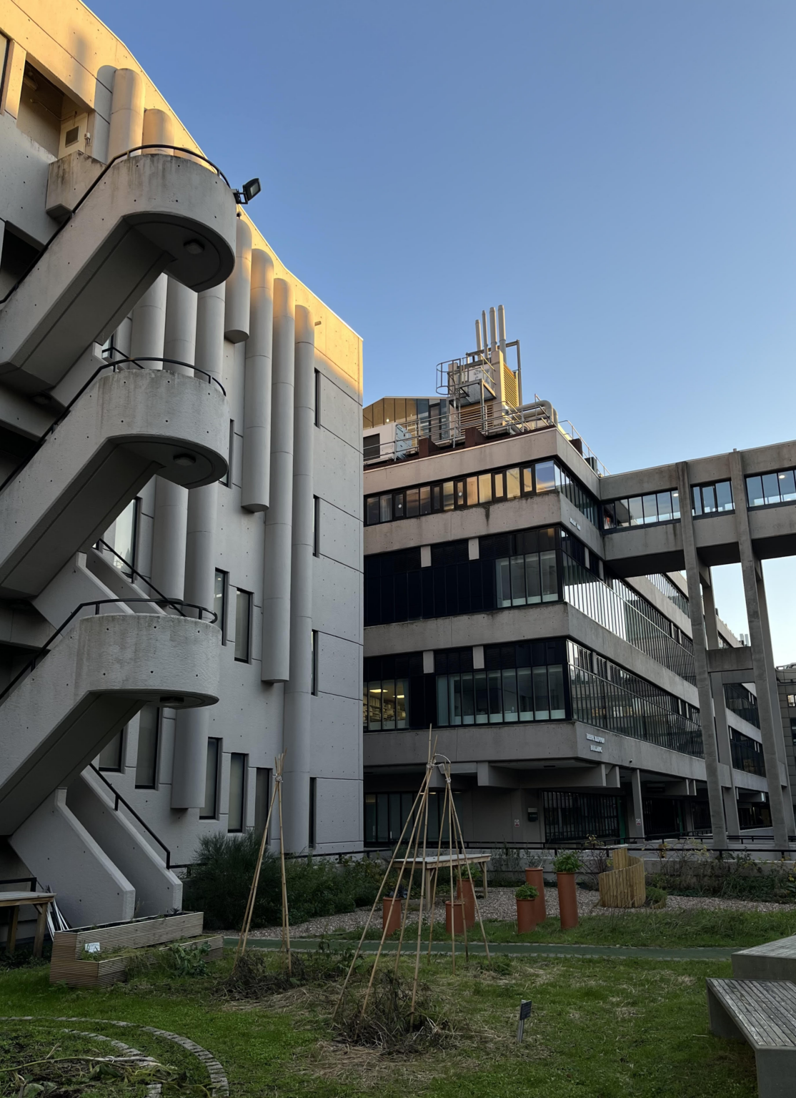 Leeds University's Net Zero Delivery Plan revealed - The Gryphon