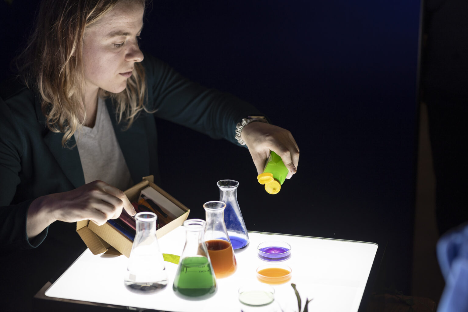Dazzling Displays: Leeds Light Night 2024 - The Gryphon